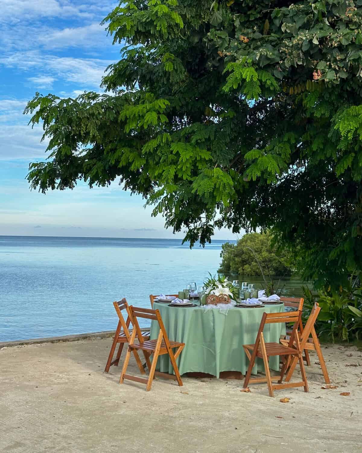 Home - Reef Beach Resort